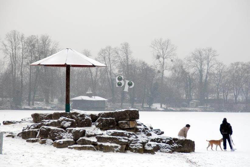 Le Baggersee, gravière à Strasbourg. - Strasbourg Photo - Photographe à ...