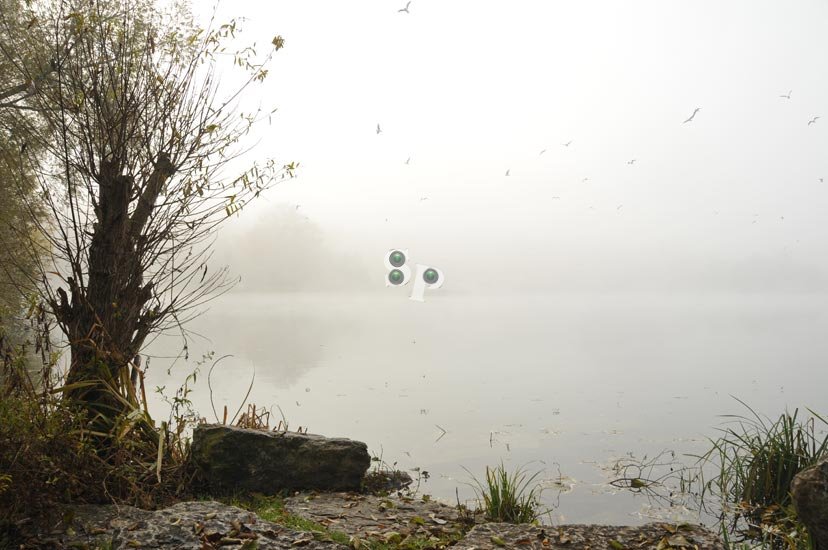 Le Baggersee, gravière à Strasbourg. - Strasbourg Photo - Photographe à ...