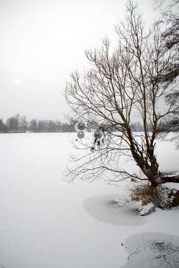 Le Baggersee, gravière à Strasbourg. - Strasbourg Photo - Photographe à ...