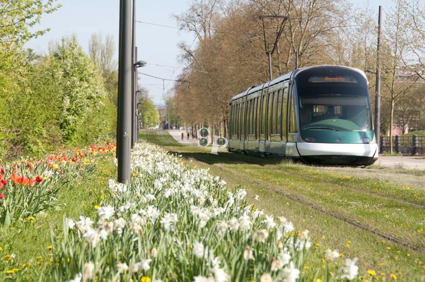 Tramway de Strasbourg - Strasbourg Photo - Photographe à Strasbourg ...