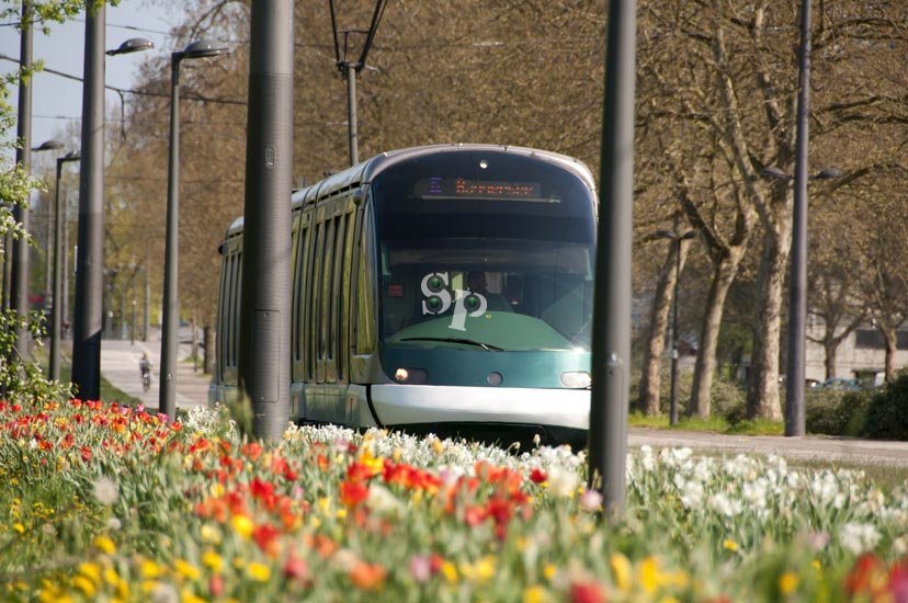 Tramway de Strasbourg - Strasbourg Photo - Photographe à Strasbourg ...