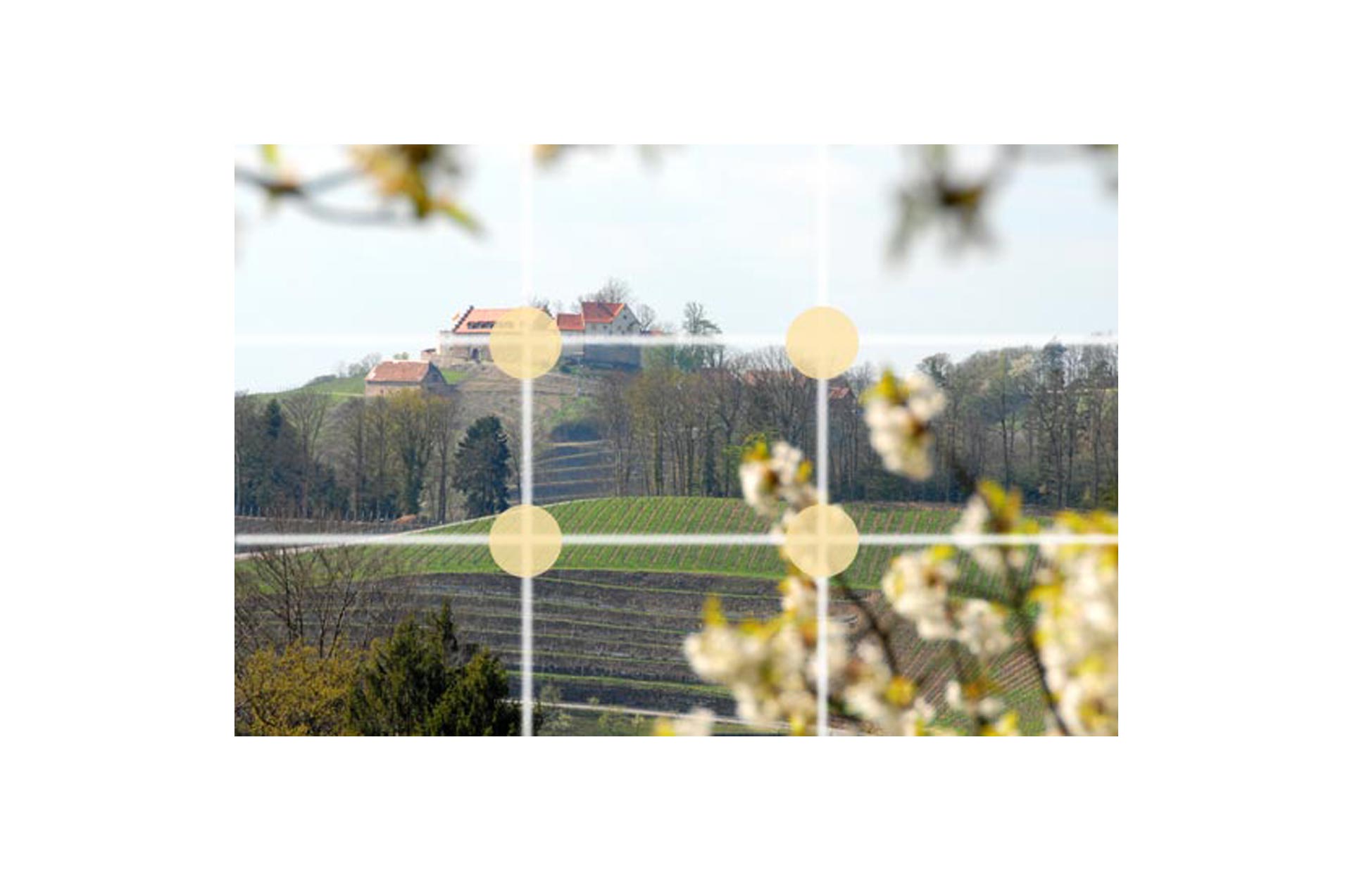 Mieux photographier : Cadrage et Composition