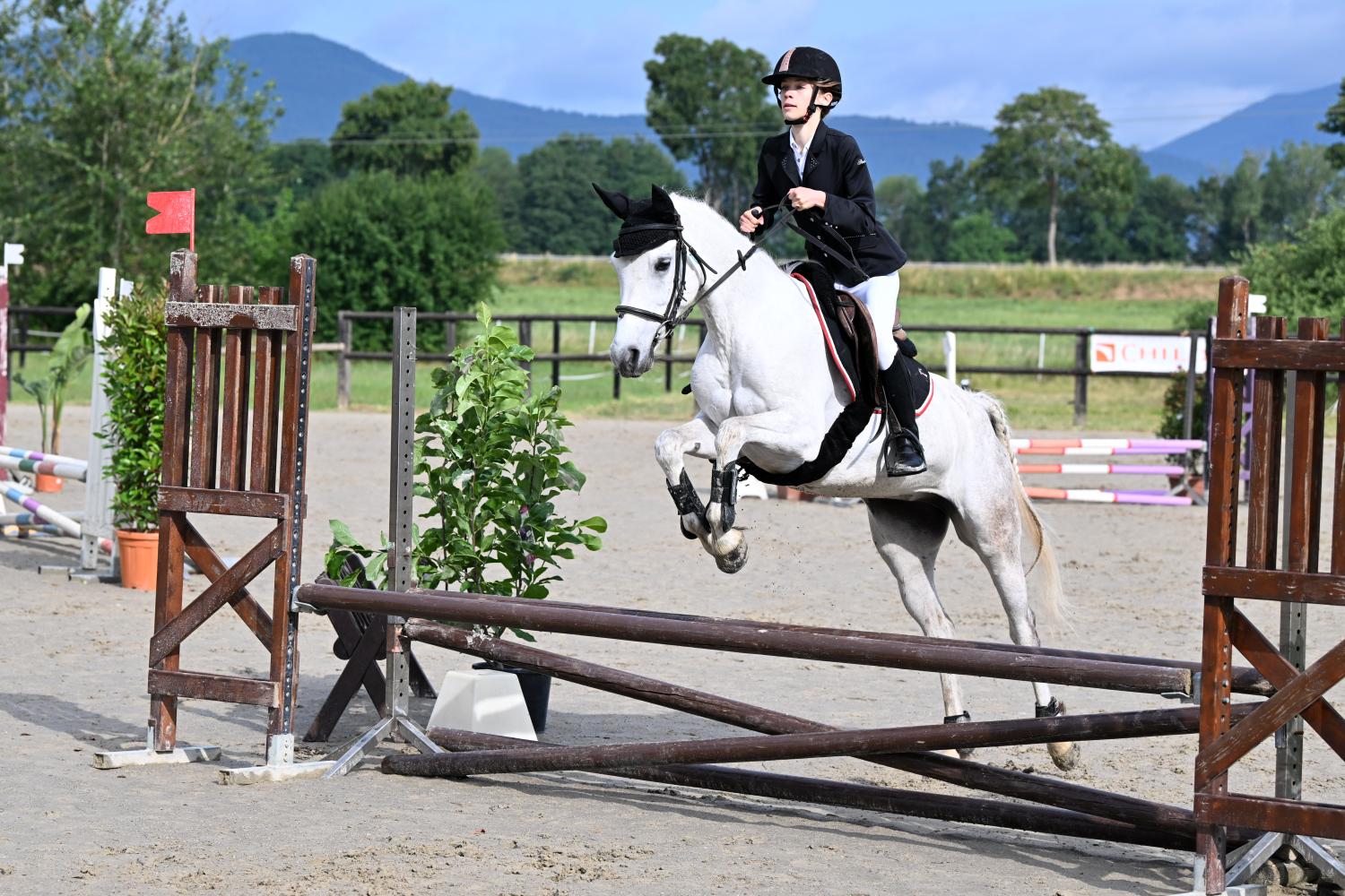 Photos du Championnat Départemental de Concours de Saut d'Obstacles